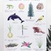 Washington State Symbols Art Print / Washington State Art / State ...