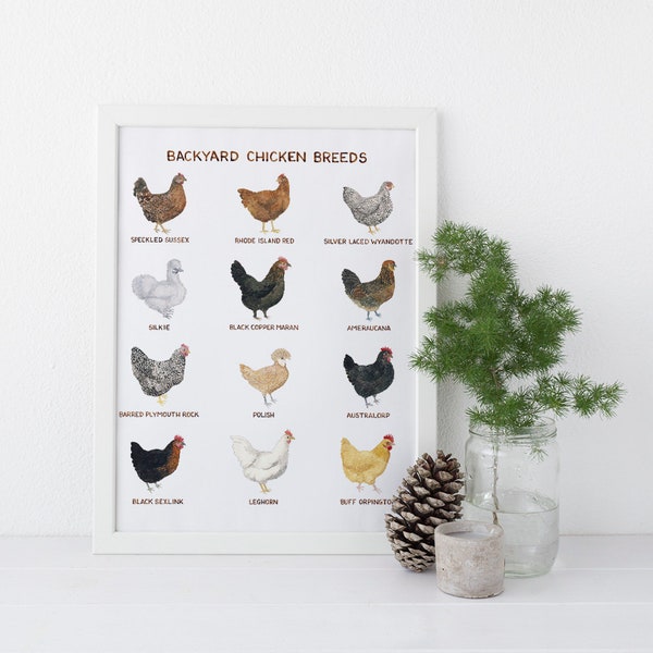 Chicken Breeds Poster - Etsy