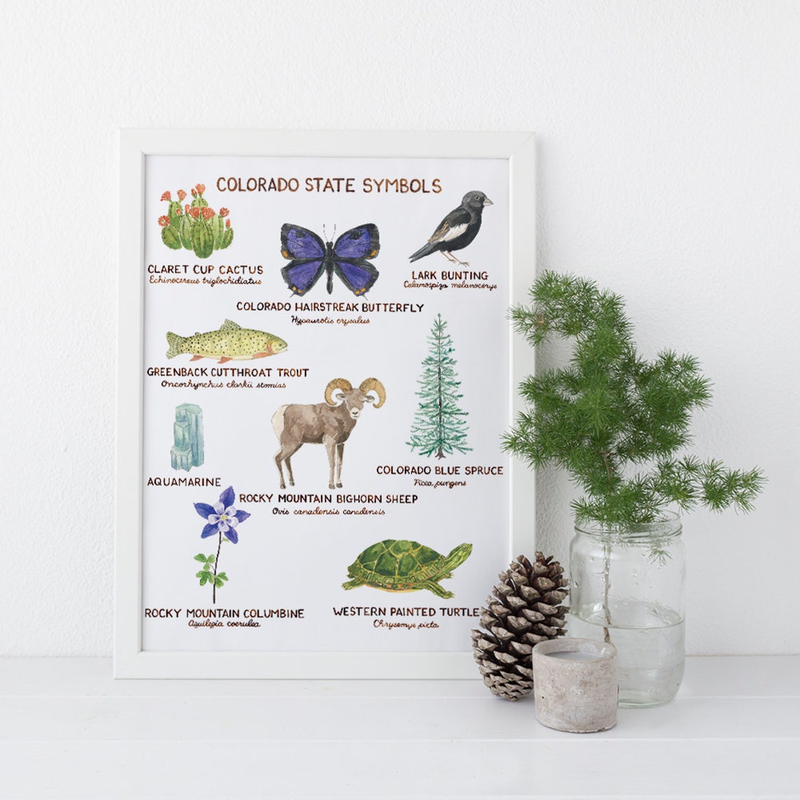 Colorado State Symbols Art Print / Colorado Art / State | Etsy