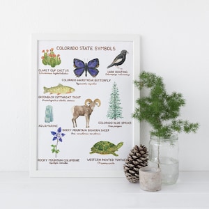 Colorado State Symbols Art Print / Colorado Art / State Symbols Art ...