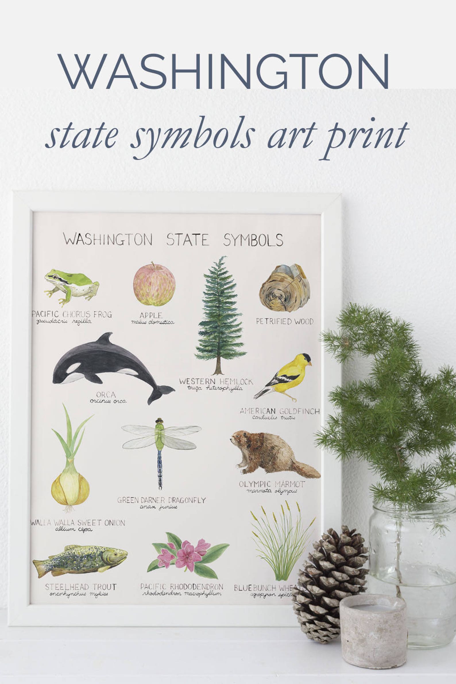 Washington State Symbols Art Print / Washington State Art / - Etsy