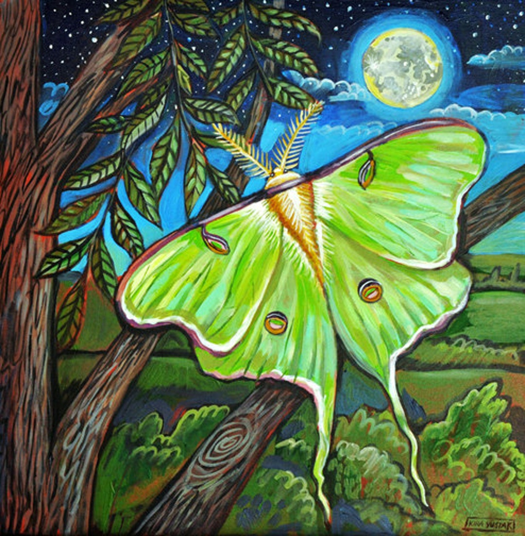 Luna Moth - Print - Etsy