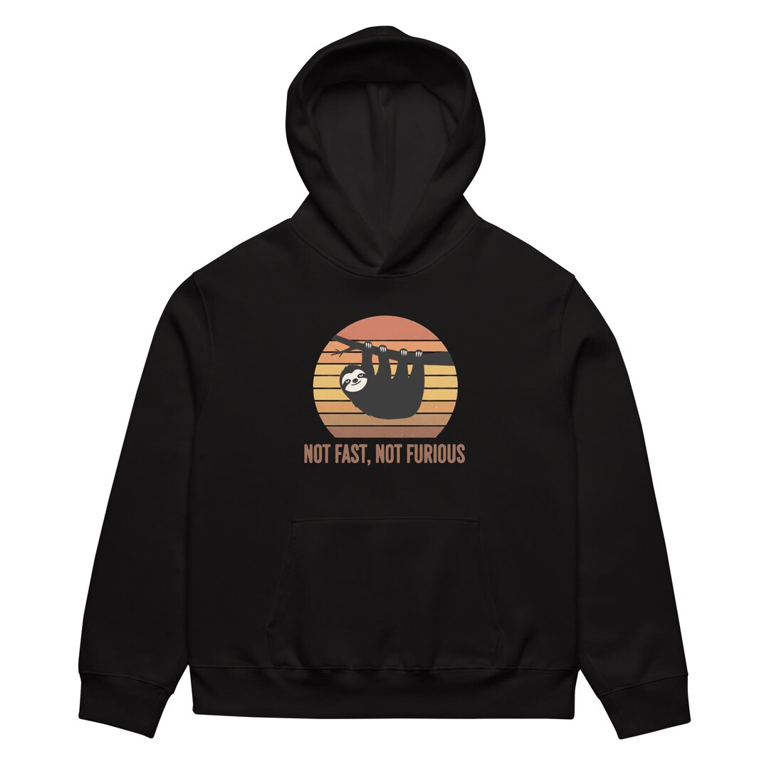 Not Fast Not Furious Sloth Hoodie: Funny Unisex Sweatshirt - Etsy
