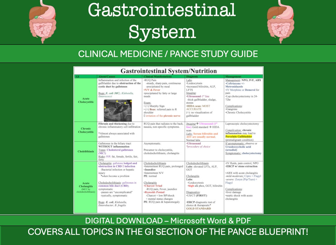 Gastrointestinal GI System Complete Study Guide / PANCE Blueprint ...