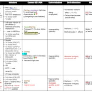 Antibiotics Complete Study Sheets | Study Guide | Study Notes ...
