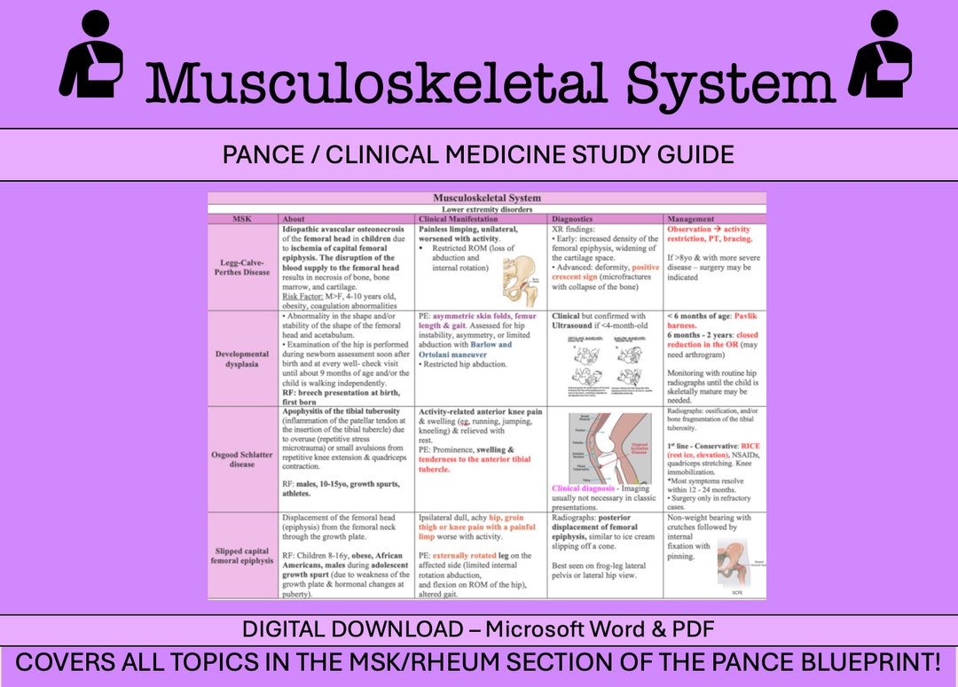 Musculoskeletal System Complete Study Guide / PANCE Blueprint / Chart ...