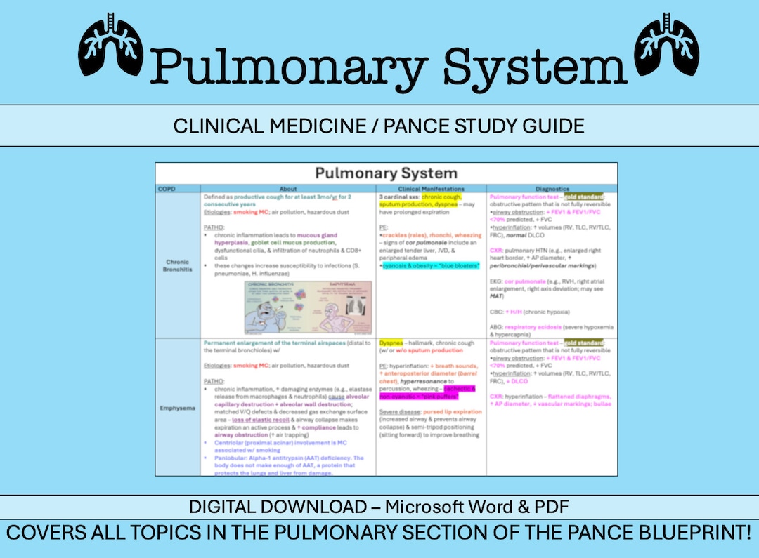 Pulmonary System Complete Study Guide / PANCE Blueprint / Chart ...