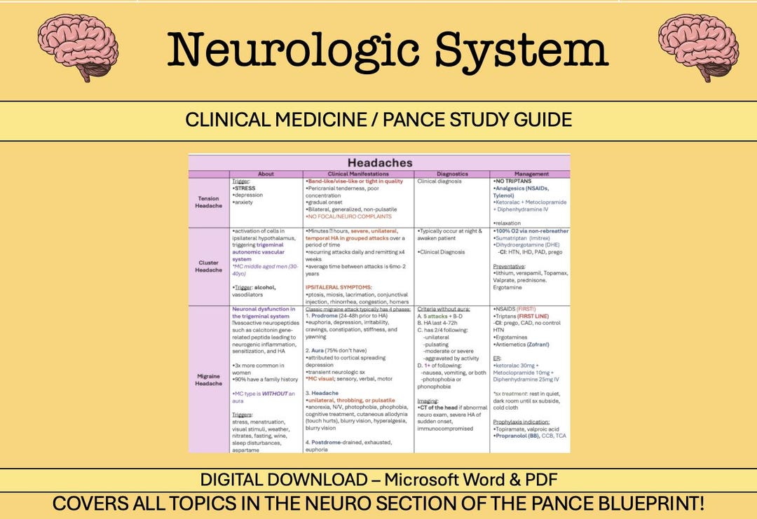 Neuro Complete Study Sheets | Neuro Study Guide | Physician Assistant ...