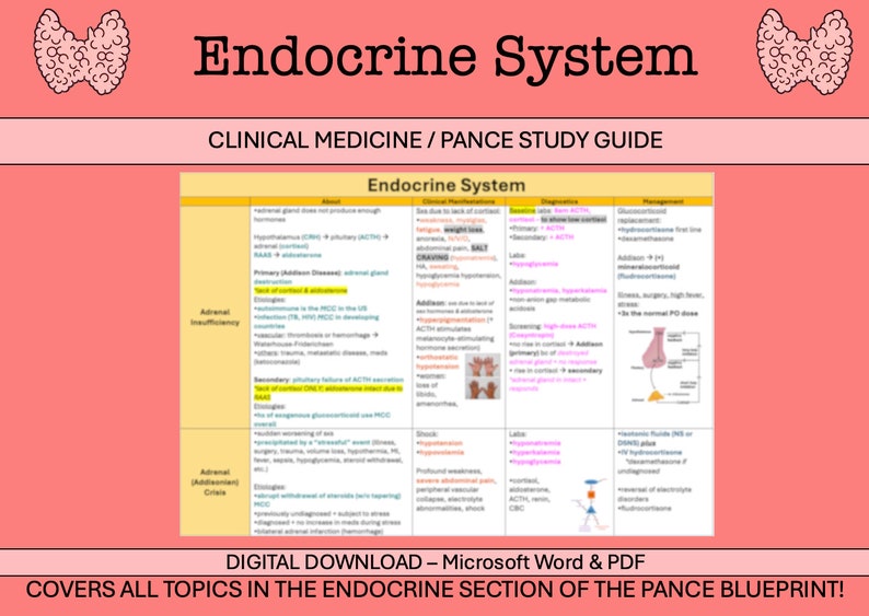Endocrine Complete Study Sheets | Study Guide | Study Notes | Physician ...