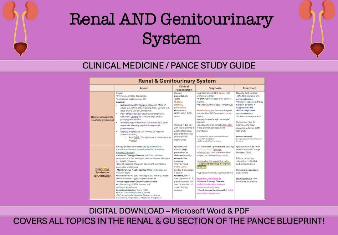 Renal and Genitourinary Complete Study Guide | Renal/gu Study Guide ...