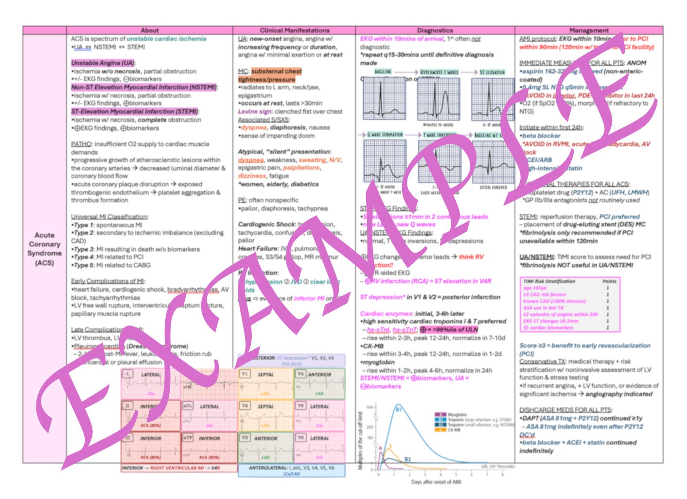 Cardiology Complete Study Sheets | Study Guide | Study Notes ...