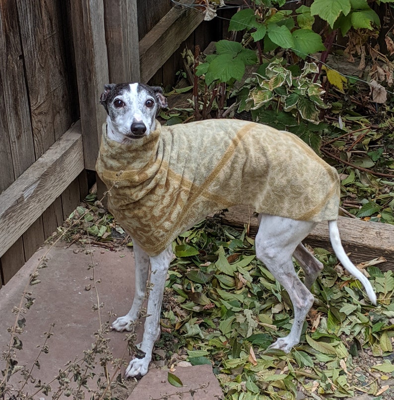 ALL SIZES Sighthound Dog Coat DIGITAL Print at Home Sewing Pattern ...