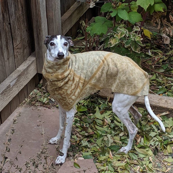 Greyhound Coat Pattern - Etsy