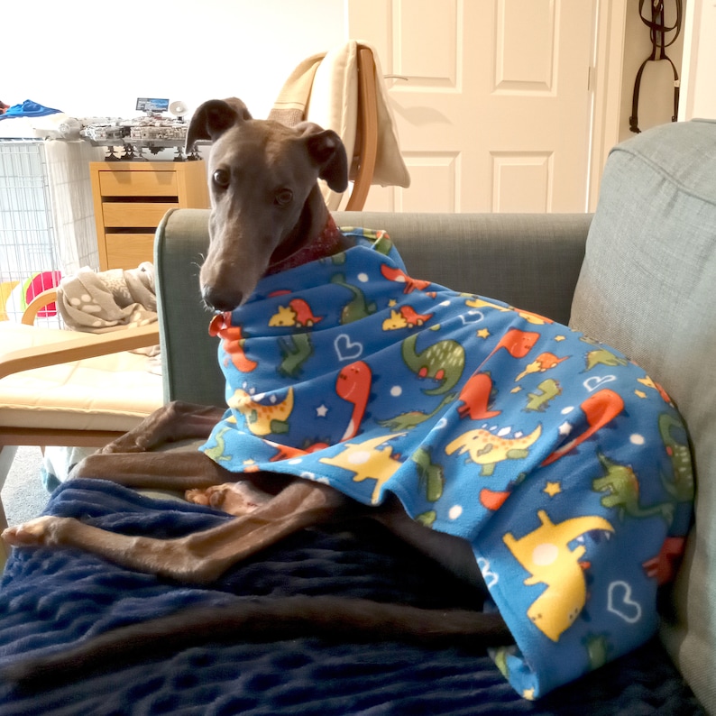 Full-sized 85lb Greyhound Dog Coat Digital Print at Home Sewing Pattern ...