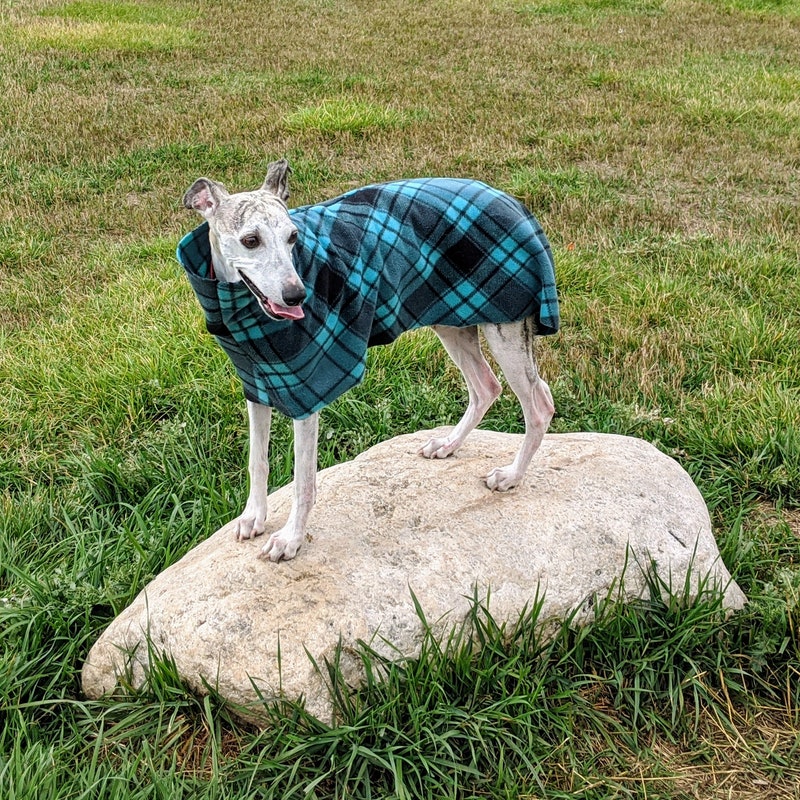 Whippet Dog Coat Pattern - Etsy