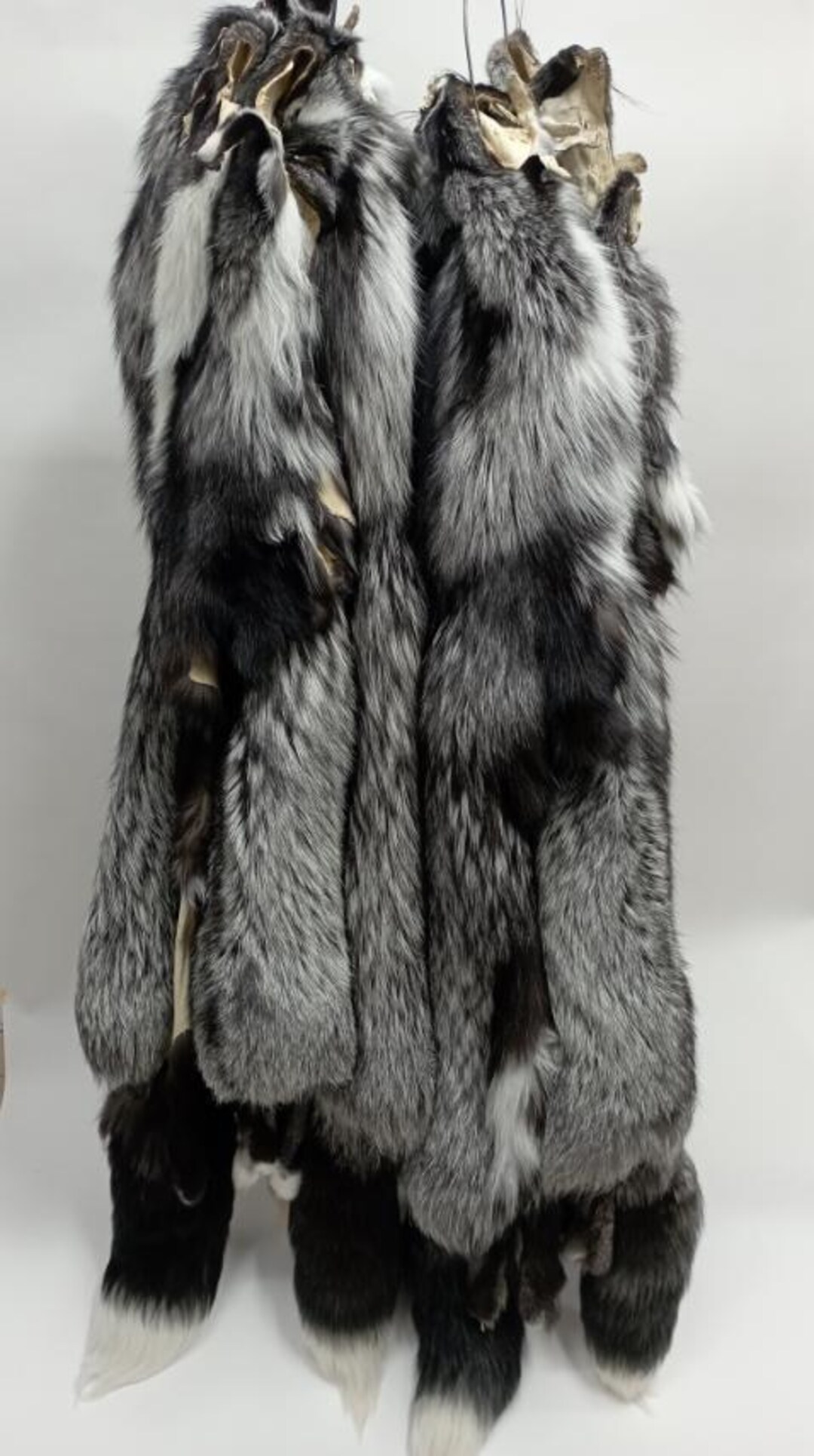 XL Long Tanned Platinum Fox Fur Pelts From SAGA FURS, Finland - Etsy