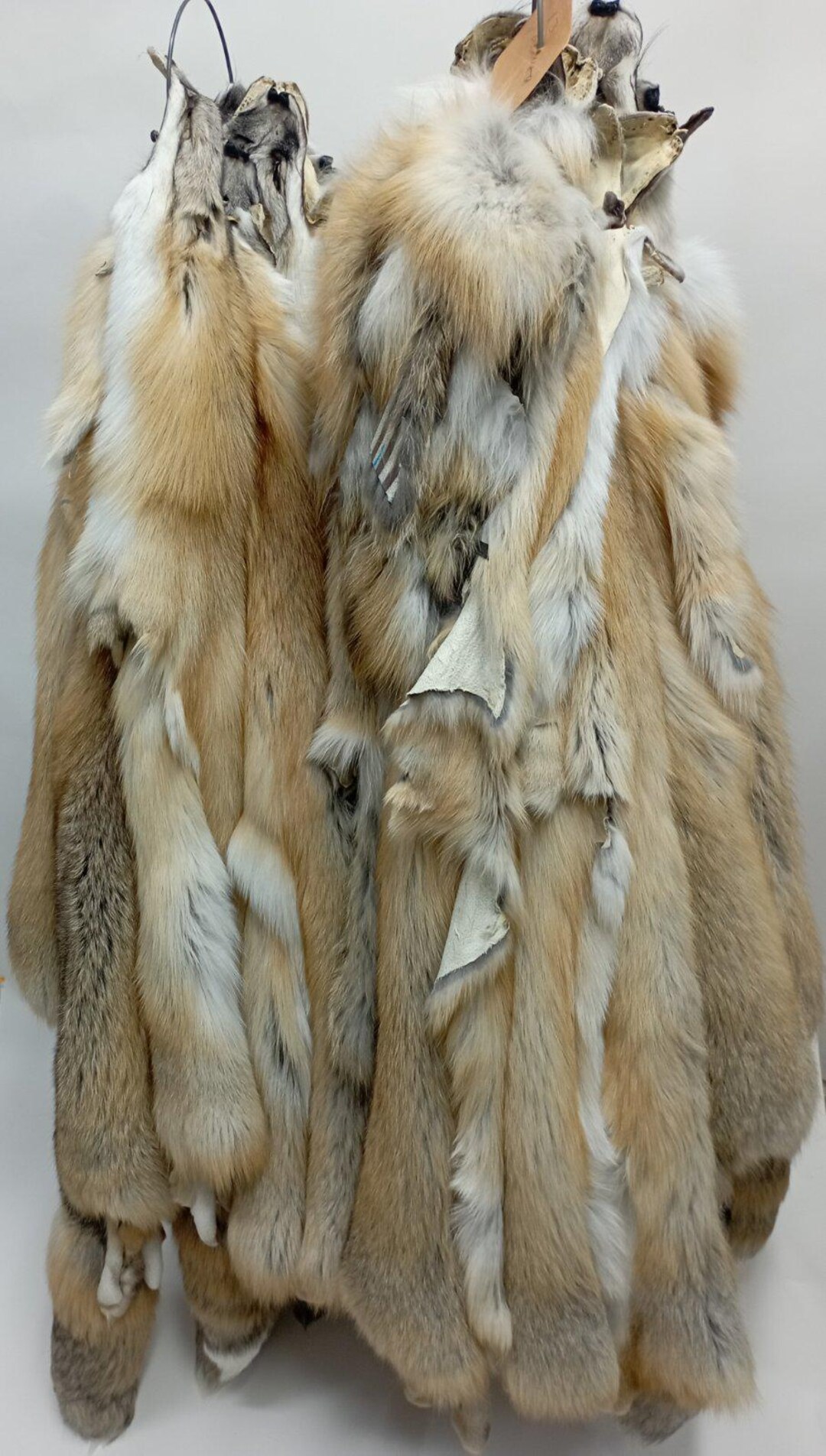 XL Long Tanned Golden Island Fox Fur Pelts From SAGA FURS, Finland - Etsy