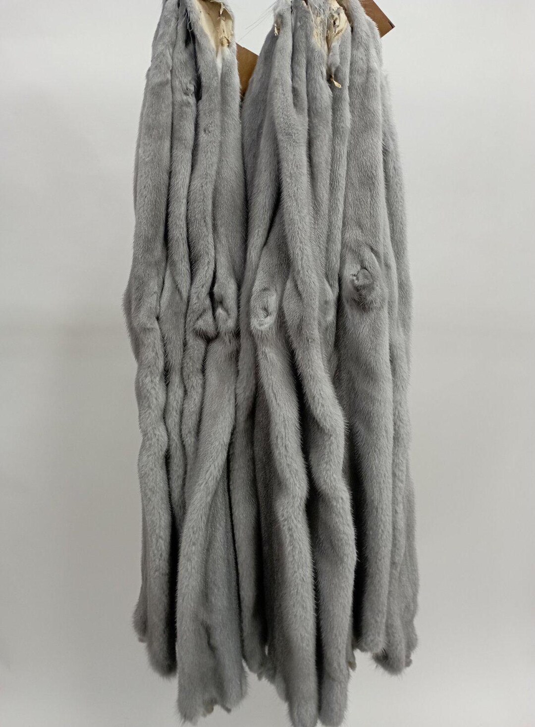 XL Long Tanned SAGA ROYAL Sapphire Fur Pelts From Finland - Etsy