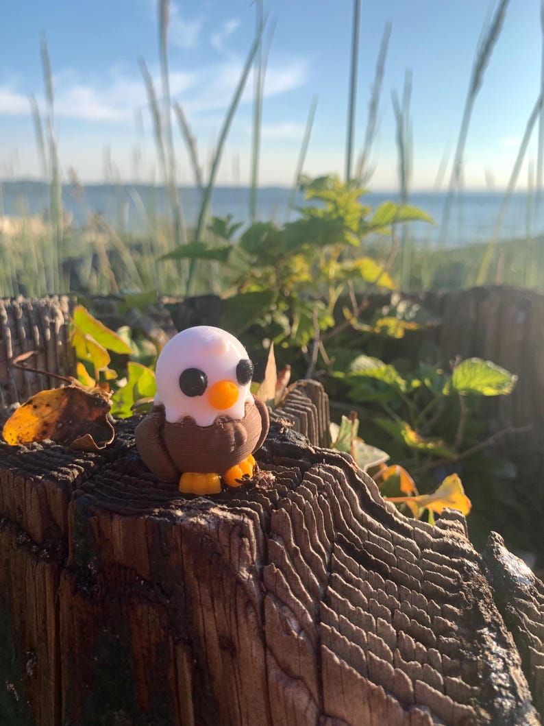 3D Printed Articulated Flexy Bald Eagle Fidget Toy - Etsy