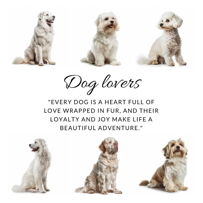 Dog Photos Bundle, Top 100 Dog Breeds, High Resolution PNG Portrait ...