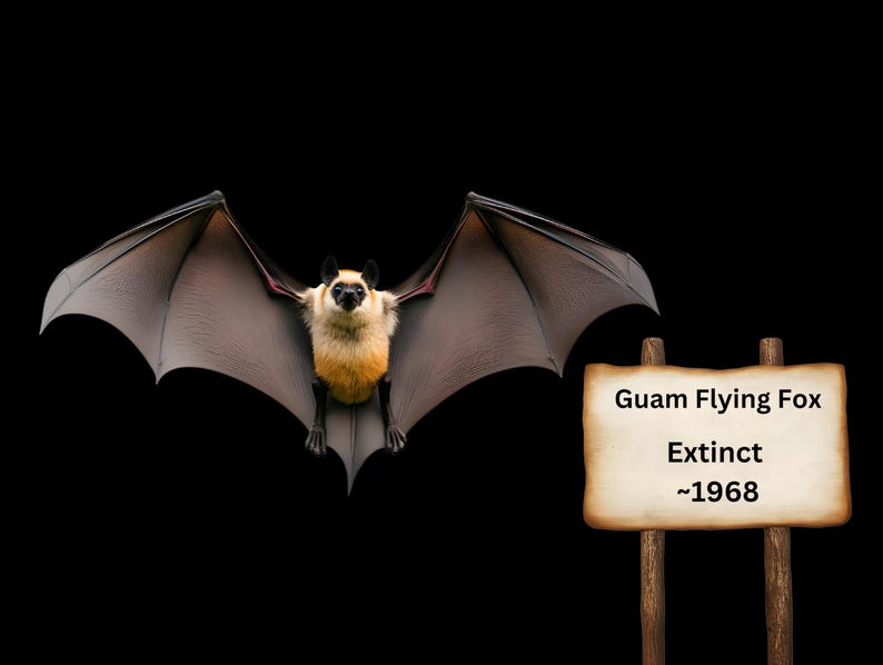 26 Extinct Animal HD Transparent Pngs | Lost Species Collection (10,000 ...