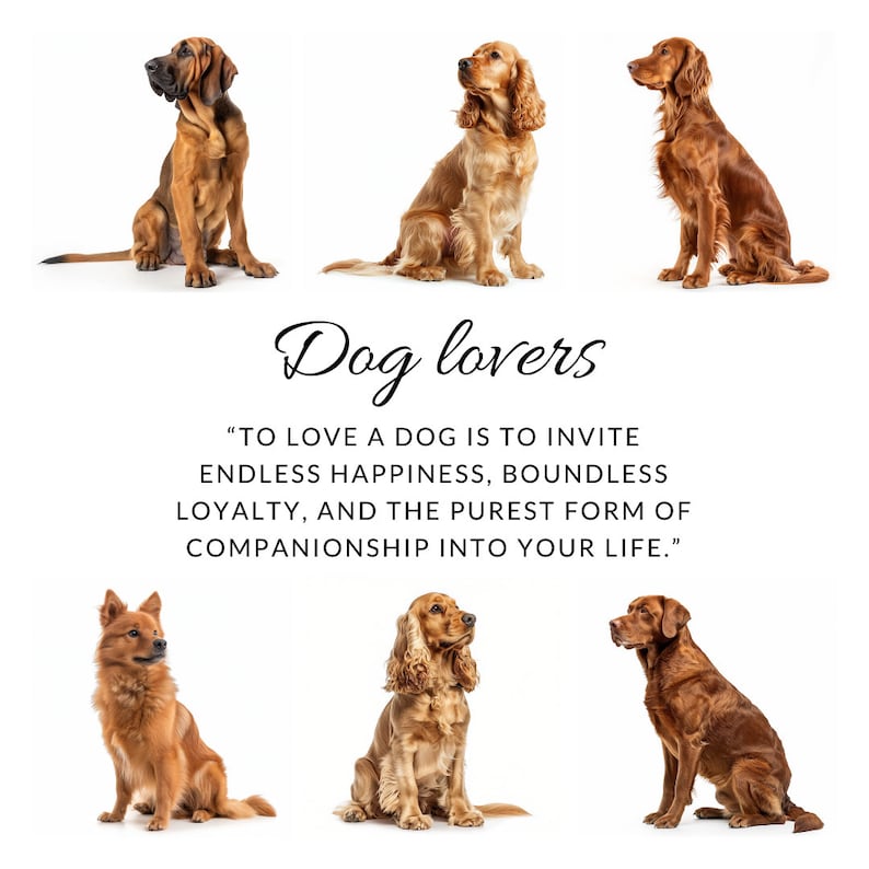 Dog Photos Bundle, Top 100 Dog Breeds, High Resolution PNG Portrait ...