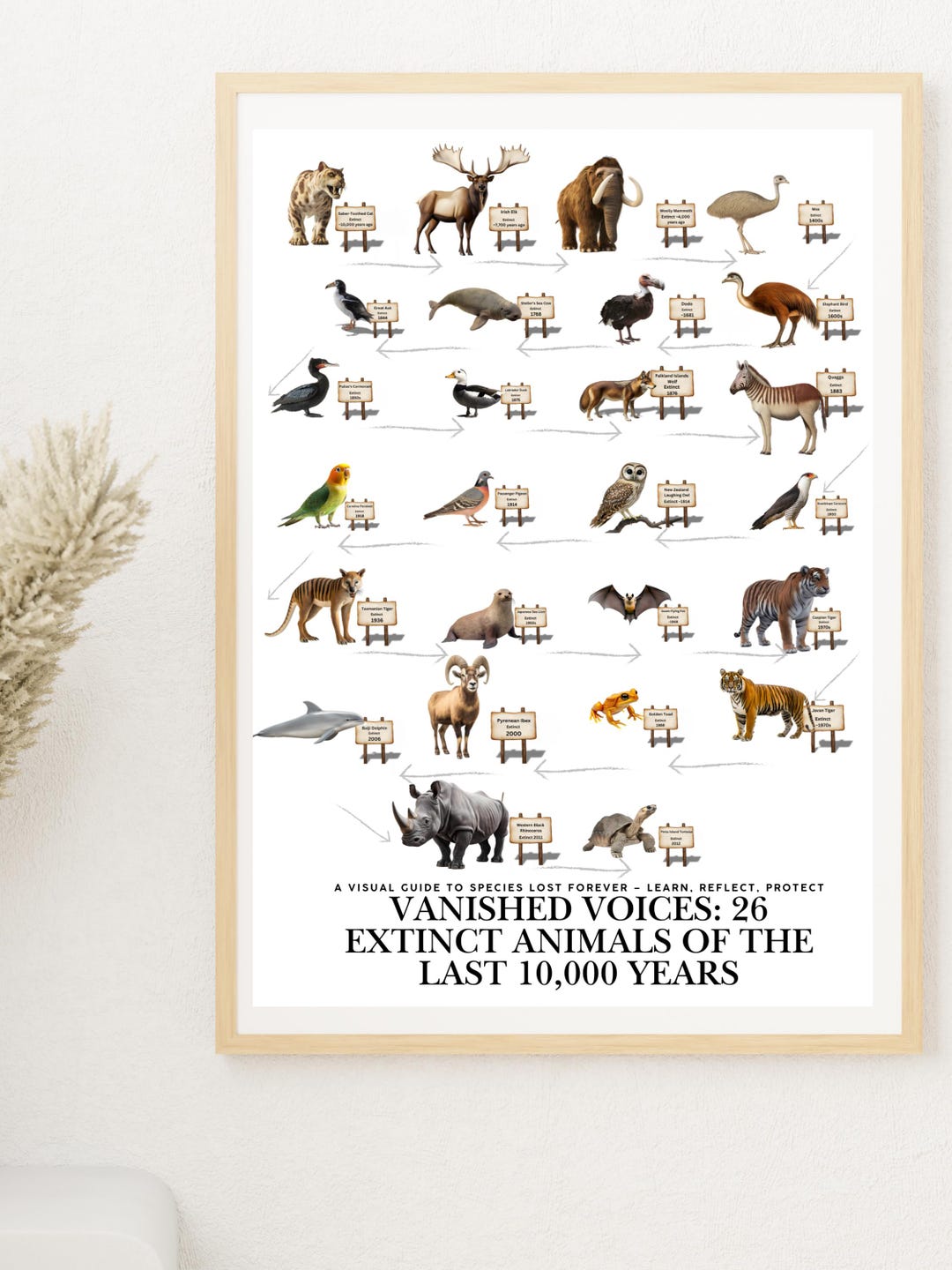 26 Extinct Animals Poster | Educational Natural History Wall Art ...