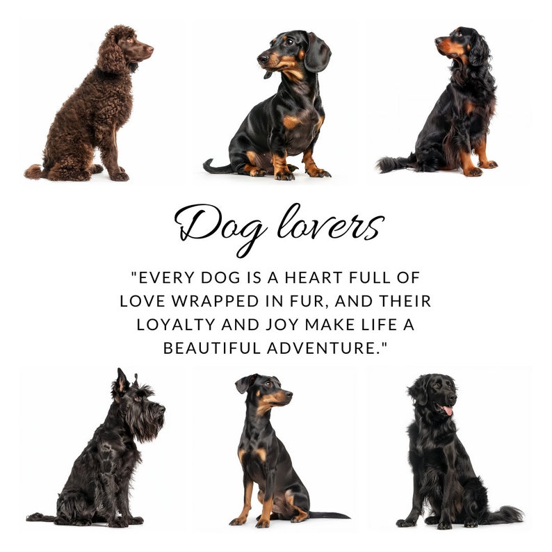 Dog Photos Bundle, Top 100 Dog Breeds, High Resolution PNG Portrait ...