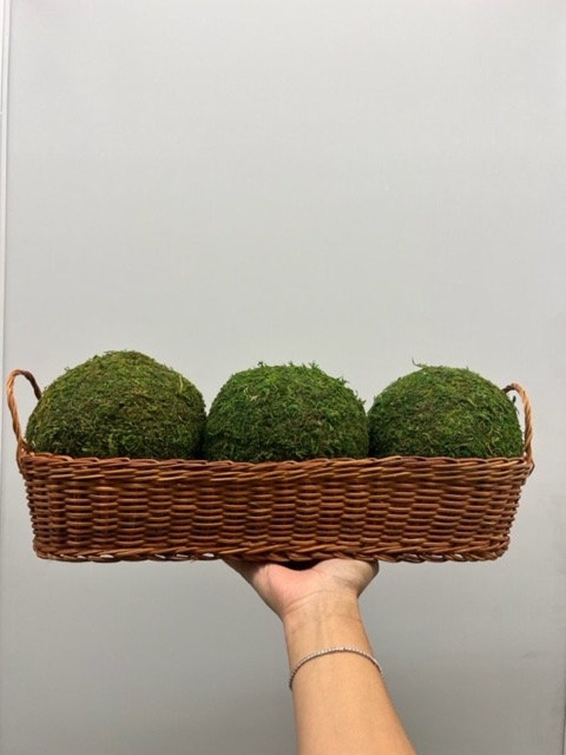6 Inch Preserved Moss Balls, Moss Decor, Moss Centerpiece, Luxury Decor ...