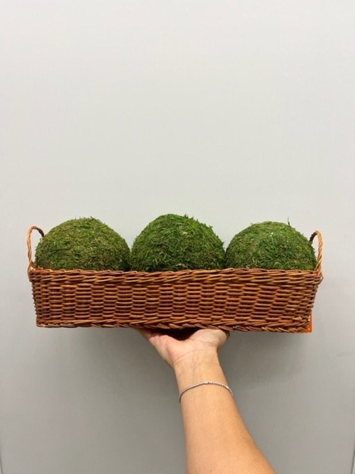 6 Inch Preserved Moss Balls, Moss Decor, Moss Centerpiece, Luxury Decor ...