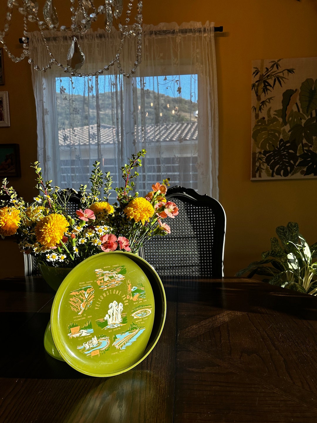 Yellowstone National Park Collectible Plastic Plate - Etsy