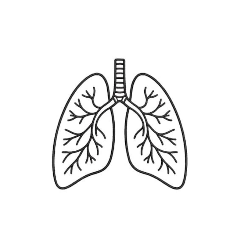 Lung Embroidery Patterns - Etsy
