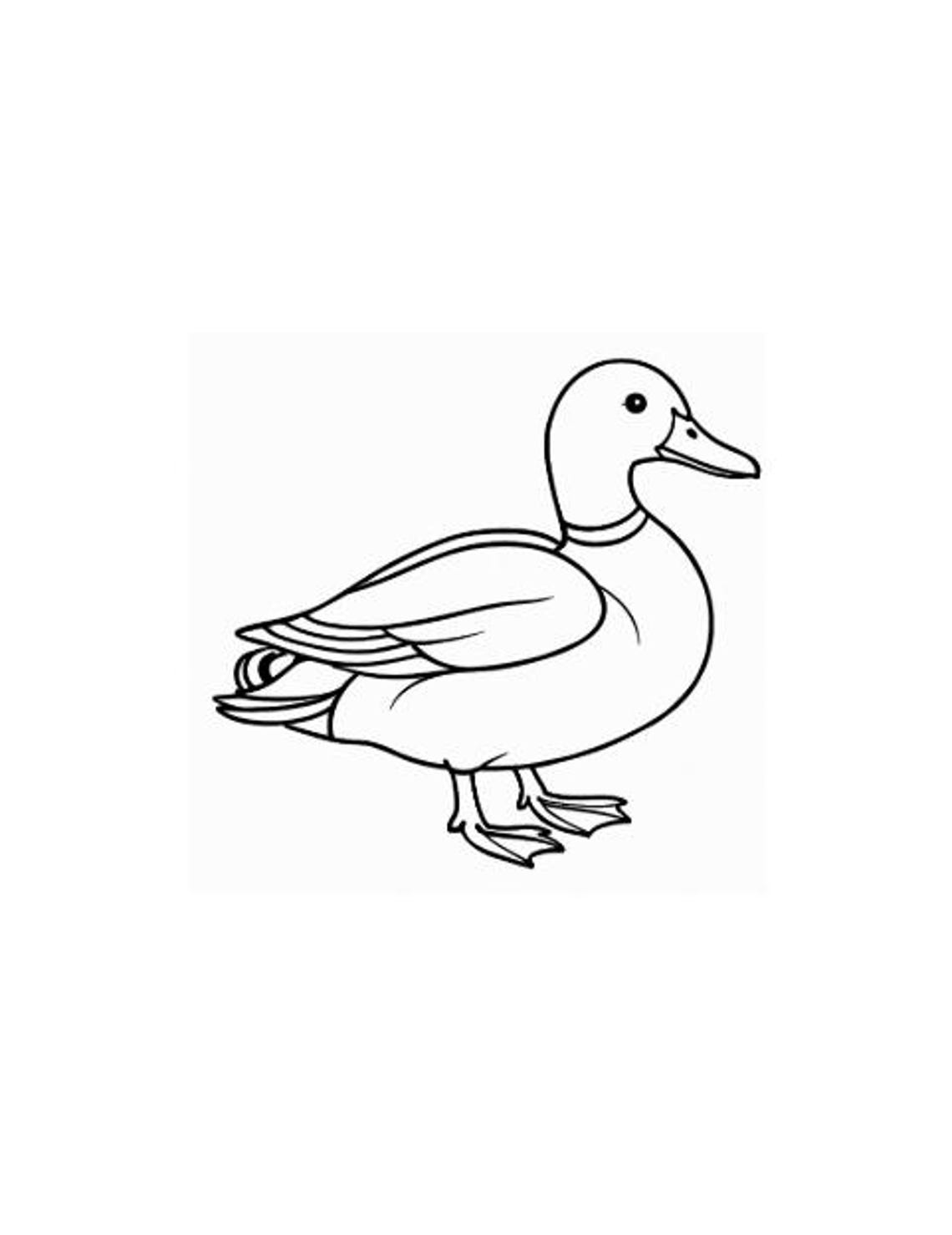 Duck Outline | Machine Embroidery File Download | Mallard - Etsy