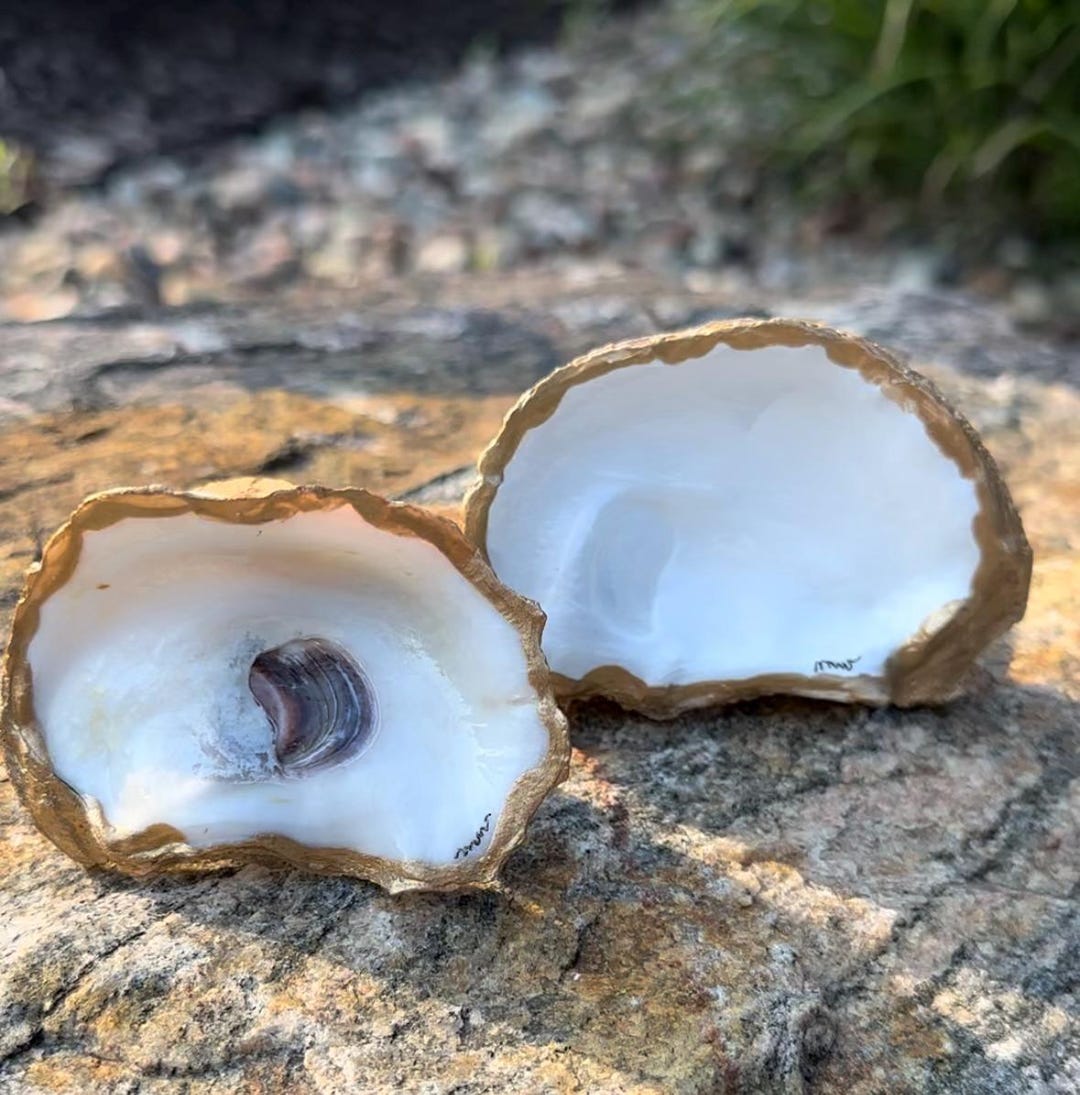 Elegant Oyster Shell Place Card Holder. Perfect for Photos, Buffet ...