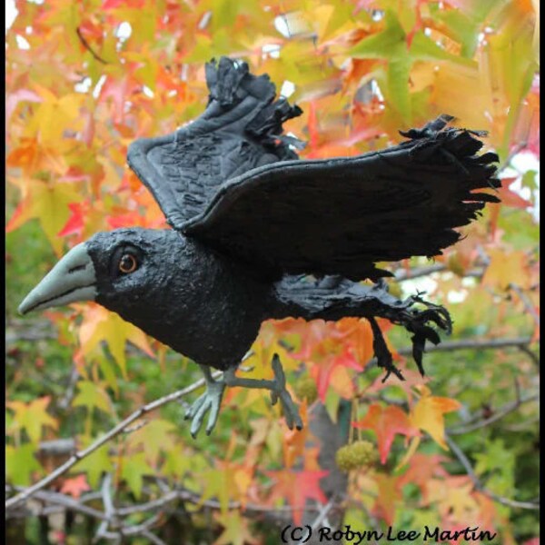 Raven Sewing Pattern - Etsy