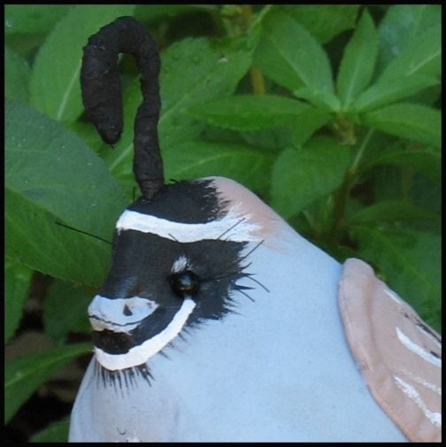 Primitive Bird Pattern, Bird Pattern, Quail, Bird, Fabric Bird ...