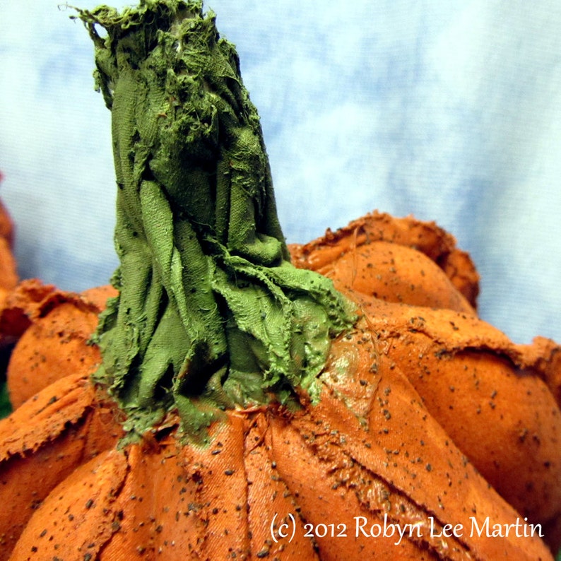 Primitive Fabric Pumpkin Sewing Pattern: Raggedy Fall Decor (PDF ...