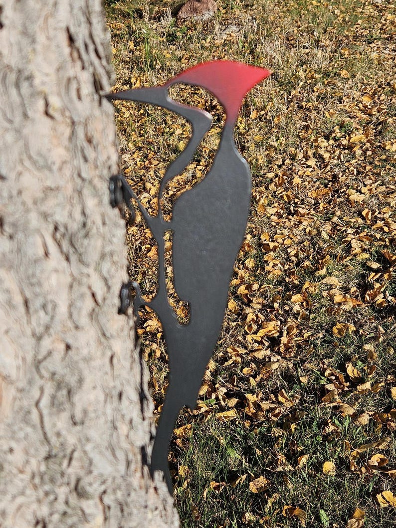 Woodpecker Majestic Silver Black With Bold Red Cap Hanging Tree Art ...