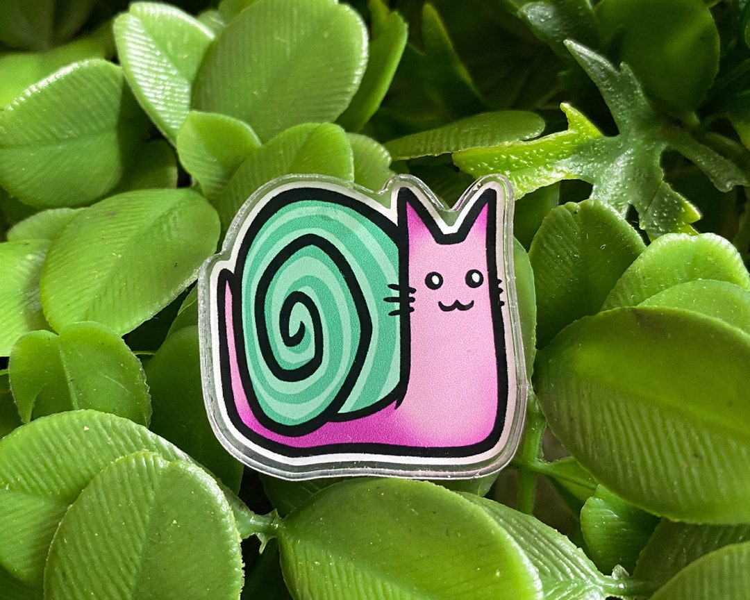SNAT Snail Cat Acrylic Pin, Brooch, Tack. Kitty, Meme, Funny - Etsy