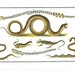 Albertus Seba Birds and a Snakes, Cabinet of Natural Curiosities ...