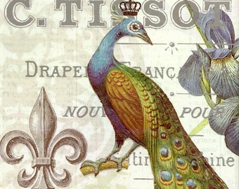 French Yellow Bird Collage Digital Instant Download for | Etsy