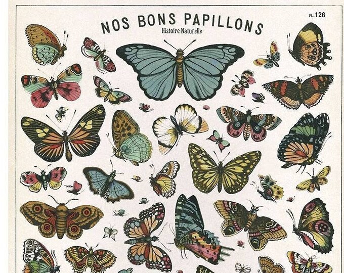 Nos Bons Papillons Butterfly Decorative Flat Wrap Poster Paper by ...