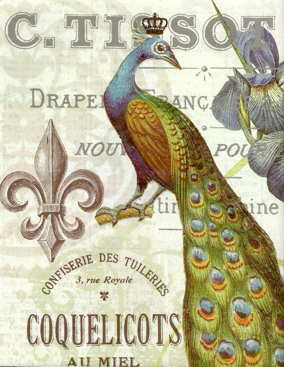 French Peacock Collage Digital Instant Download for Scrapbooking, Paper ...