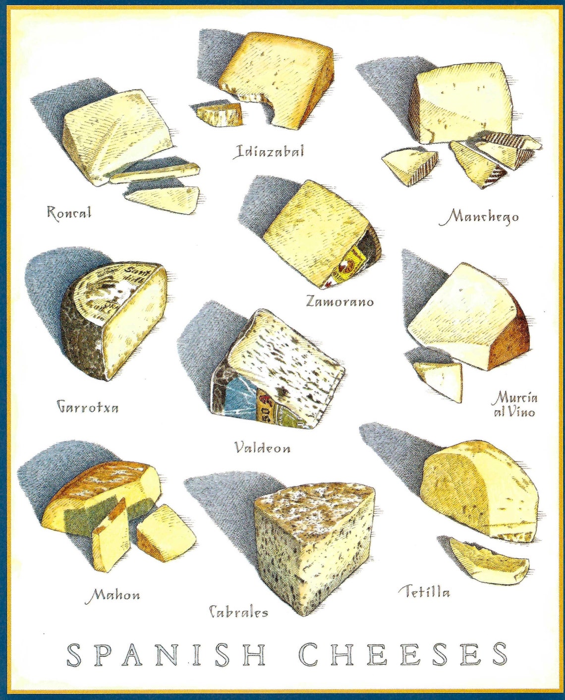 Spanish Cheeses Chart Poster by John Burgoyne for Cook's | Etsy