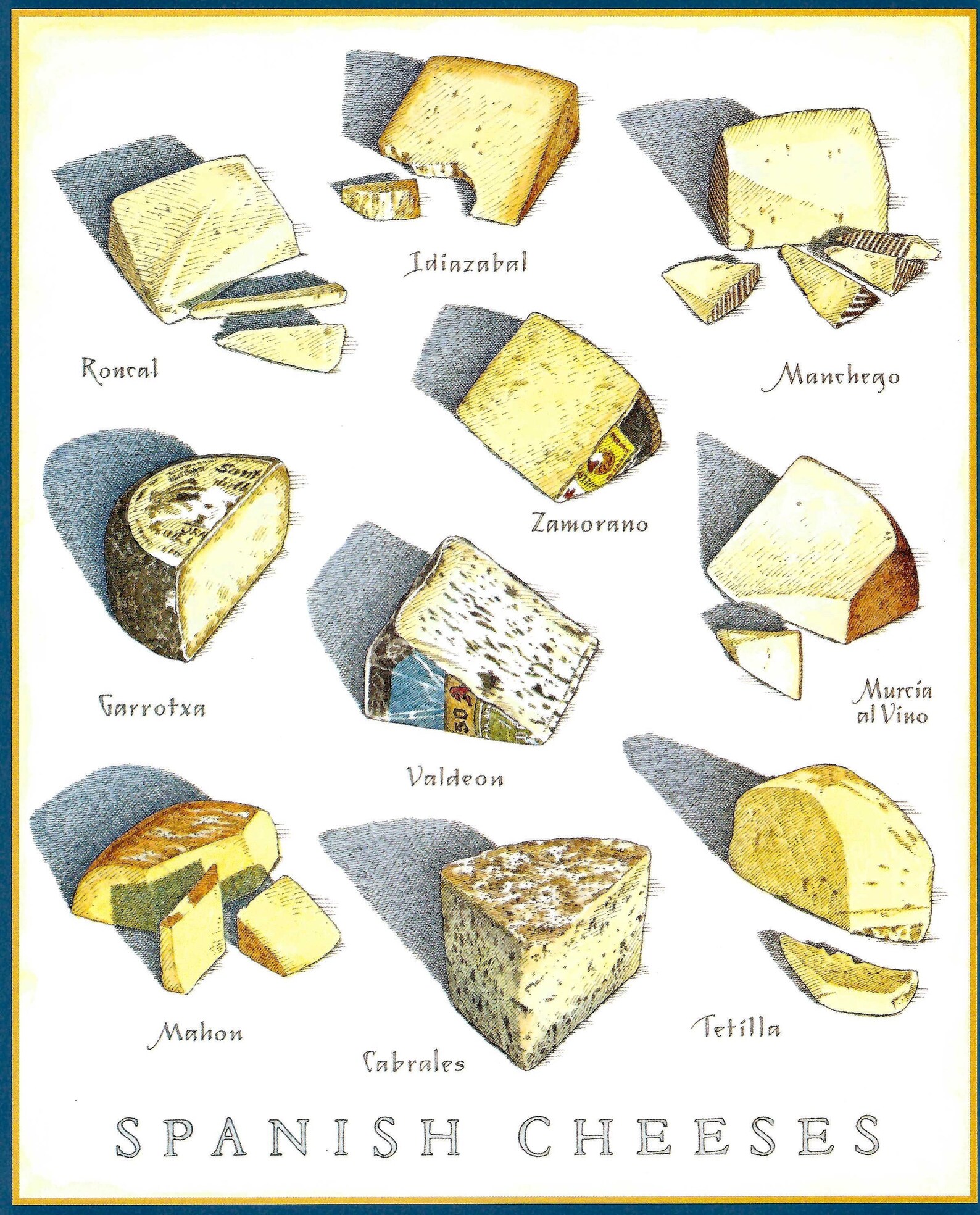 Spanish Cheeses Chart Poster by John Burgoyne for Cook's | Etsy