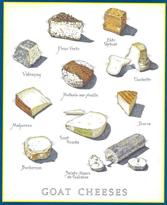Goat Cheeses Chart Poster by John Burgoyne for Cook's - Etsy