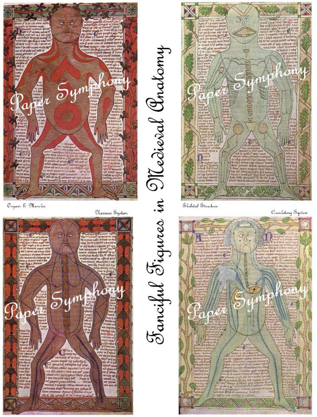Printed Fanciful Figures in Medieval Anatomy Collage Sheet for Paper ...