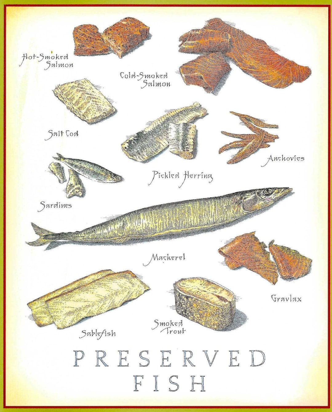 Preserved Fish Chart Poster by John Burgoyne for Cook's Illustrated ...