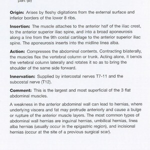 Anterior Abdominal Wall, Superficial Dissection Anatomy Flash Card by ...