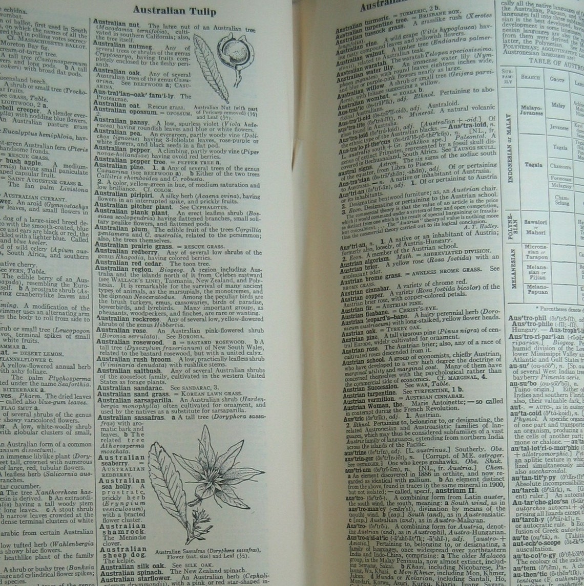 Vintage Dictionary Pages Assorted Pack 20 Pages 1939 - Etsy